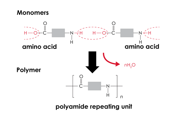 How to teach polymers at post-16 | CPD article | RSC Education